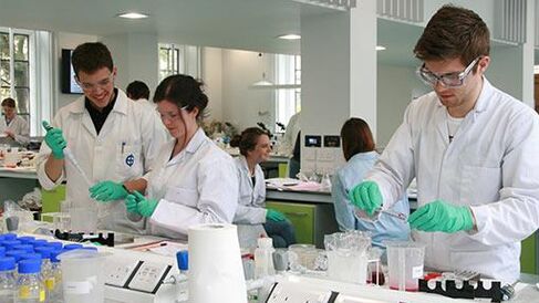 plant sciences library cambridge